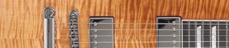 Electric Guitar Tonewood Guide - Andertons Blog